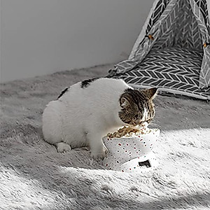 Y YHY Elevated Cat Bowls Anti-Vomiting, Tilted Raised Cat Bowl, Ceramic Cat Bowls for Flat Faced Cats, Small Dogs, Protect Pets Spine, Dishwasher and Microwave Safe