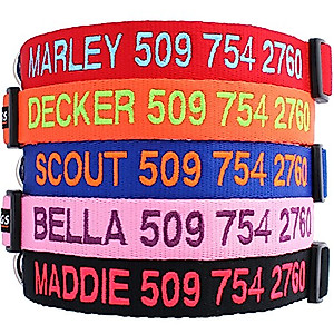 GoTags Personalized Dog Collar, Custom Embroidered with Pet Name and Phone Number in Blue, Black, Pink, Red and Orange, for Boy and Girl Dogs, 4 Adjustable Sizes, XSmall, Small, Medium, and Large