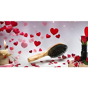 SHASH Everyday 100% Boar Bristle Hair Brush - Made in Germany | Suitable For Thin To Normal Hair, Firm, and Naturally Conditioning | Enhance Texture, Exfoliate, and Stimulate the Scalp