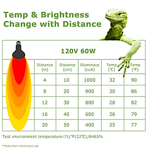 HARTOMPET 60W E26 Reptile Heat Lamp Bulbs, UVA Basking Spot Light for Bearded Dragon, Lizard, Tortoise, Chicks, Other Reptiles & Amphibians - Simulated Natural Sunlight Terrarium Heat Lamps | 2 Pack