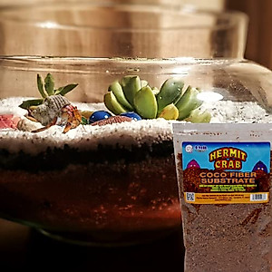 Needzo Natural Terrarium Supplies for Hermit Crabs and Reptiles, Loose Coco Fiber Substrate, 2 Pound Sand Bag, and Scooper Sifter, Bulk Terrarium Supplies, 3 Items