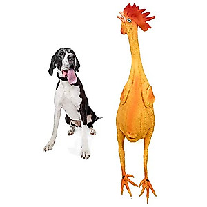 Rubber Chicken Dog Toys - Natural Rubber (Latex) - Lead-Free Chemical-Free - Handpainted - Soft Unstuffed Squeaky (X Large)