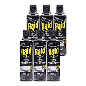 Raid Wasp and Hornet Killer (14 Ounce (Pack of 6))