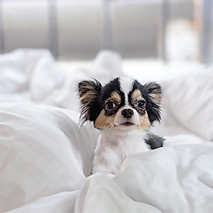 Linen Market Duvet Cover Set, King, Cream, SS-Duvet-King-Cream, King/California King