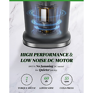 GDOR Cold Press Juicer Machines, Masticating Juicer Extractor with 3.5-Inch Feed Chute, Slow Juicer With High Yield, Easy to Clean,Grey