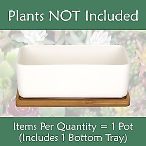 Ceramic Succulent Pots - 1 Pot - Short Rectangle - with Bamboo Tray - White - 6.3"