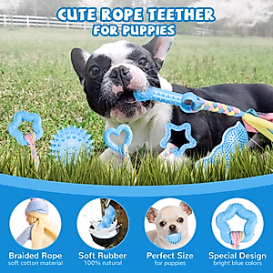 ABRRLO 6 Pack Puppy Toys Cute Blue Puppy Chew Toys for Teething Small Breed Dog Chew Toys Interactive Pet Toy Set for Puppies Soft and Durable Small Breed Doggy Teething Toys