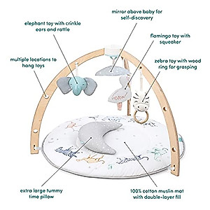 aden + anais Git Set Bundle - Play and Discover Baby Activity Gym - Jungle Jam Swaddle Blanket, 4 Pack