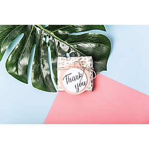 Sizzix Thinlits Die Set 4 Pack Wild Thing by Sharon Drury, Multicolor