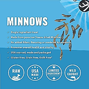 Vital Cat Vital Essentials Minnows Freeze-Dried Cat Treats - All Natural Raw Treat - Made & Sourced in USA - Grain Free - 0.5 oz Resealable Pouch - 3 Pack