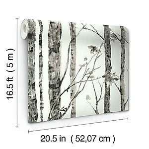 RoomMates RMK11728WP Birch Trees Gray Peel and Stick Wallpaper, White/Grey