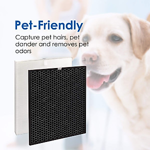 Flintar HR900 H13 True HEPA Replacement Filter T, Compatible with Winix HR900 Air Purifier, H13 Grade True HEPA and Activated Carbon Filter, Item Number 1712-0093-00, Filter T
