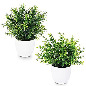 Whonline 2pcs Small Fake Plants, Mini Artificial Potted Plants, Faux Plants with Plastic Eucalyptus and Rosemary Leaves for Bathroom Shelf Home Table Desk Office Greenery Decorations