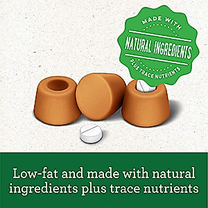 greenies Bundle Pack Pill Pocket Tablet for Dogs (3 Pack) Flavored Dog Treats (90 Tablets) Bundle Dental Chew Treats (Peanut Butter)