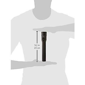 Streamlight 75866 Stinger 425-Lumen DS LED Flashlight, 120V AC/12V DC Steady Charger and 1 Smart Charge Holder, Black, Clear Retail Packaging