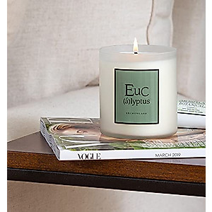 Archipelago Botanicals Eucalyptus Boxed Candle | Wild Eucalyptus, Palm Leaf and Musk | Clean Soy Wax Blend Burns 90 Hours (14 oz)