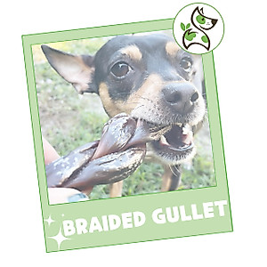 Nature Gnaws Braided Beef Jerky Chews for Dogs 5-6" (10 Count) - Long Lasting for Small and Medium Dogs - Natural Beef Gullet Dog Chew Bones