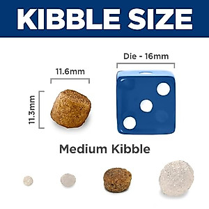 Hill's Science Diet Perfect Weight, Adult 1-6, Weight Management Support, Dry Dog Food, Chicken Recipe, 4 lb Bag