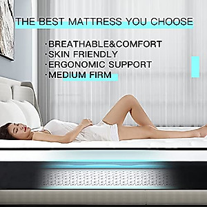 CHEVNI Twin Mattress, 12 Inch Twin Size Mattress with Individually Pocket Springs,Euro Top Medium Firm Memory Foam Hybrid Mattress in a Box,Strong Edge Support,CertiPUR-US (12 Inch, Twin)