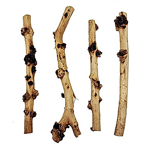 Hamiledyi Aquarium Driftwood Branches,Natural Forest Branches Assorted Size Tree Trunks Aquarium Wood Decor Fish Tank Terrarium Decoration (4 Pcs)