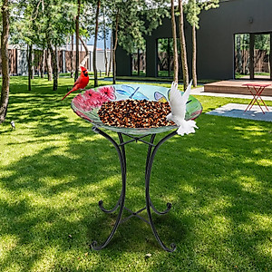 MUMTOP Bird Bath-Bird Baths for Outdoors - Dragonfly Large Bird Bath Bowl with Metal Stand, Glass BirdBaths for The Garden Lawn Yard Decor