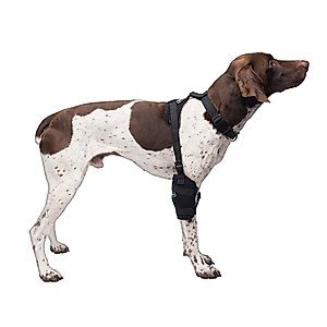 Caldera Pet Therapy Universal Wrap Carpal/Elbow with Gel, Medium, Black (PET205)