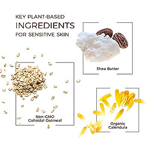 Babo Botanicals Soothing Baby Diaper Cream - with Non-Nano Zinc Oxide, Colloidal Oatmeal & Organic Calendula - Safe for Sensitive or Dry Skin - Vegan, Preservative & Mineral Oil Free - 3 oz