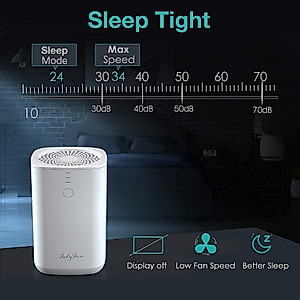 Combo Pack of RedyPure JR6 Desktop Air Purifier and Replacement Filters, H13 True HEPA, and Activated Carbon Air Filters