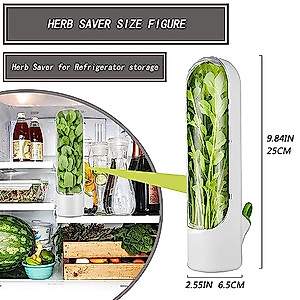 Vamrak Herb Saver for Refrigerator, Fresh Herb Keeper, Cilantro Containers for Refrigerator, Herb Saver Pod, Fresh Herb Keeper for Cilantro, Parsley, Asparagus, Keeps Vegetables for 2-3 Weeks (3PCS)