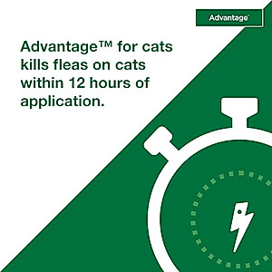 Advantage Topical Cat Flea Treatment and Prevention for Large Cats Over 9 lbs. | Apply Flea Drops Monthly | 2 Treatments