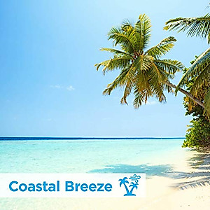 Georgia-Pacific ActiveAire Powered Whole-Room Freshener Dispenser Refill by GP PRO (Georgia-Pacific); Coastal Breeze; 48280; 12 Cartridges Per Case