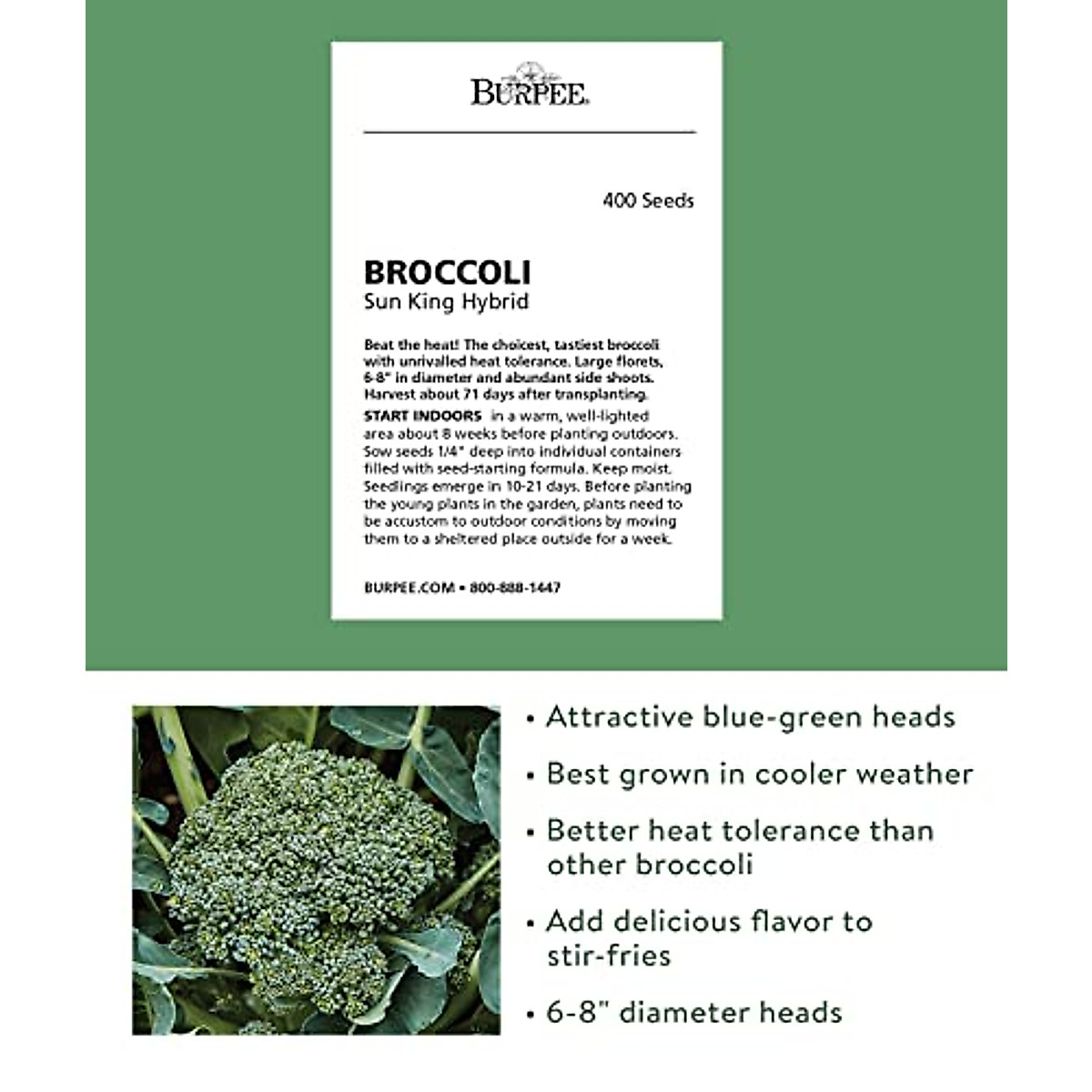 Burpee Sun King Broccoli Seeds 400 seeds