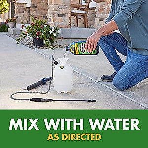 Spectracide Weed Stop For Lawns Concentrate, Kills Weed Roots, Not The Lawn, 40 fl Ounce
