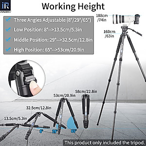 Carbon Fiber Tripod INNOREL NT364C Professional Birdwatching Heavy Duty Camera 55lb/25kg Max Load Bowl Tripod Birdwatching Camera Stand with 75mm Bowl Adapter (Max Tube 36mm, Tripod + Bowl Adapter)