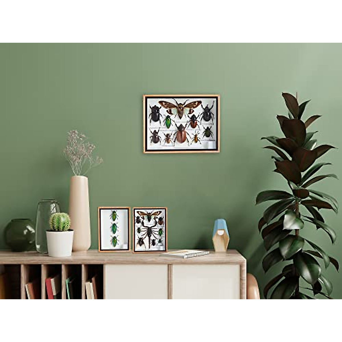 9 Real MIXS Very Rare Insect Taxidermy Set in Boxes Display for Collectibles