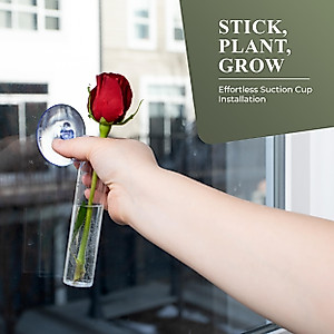 Window Propagation Stations (Set of 4) | Easy to Install Plant Propagation Tubes with Suction Cups - No Nails | Hanging Propagation Station | Gifts for Plant Lovers | Hanging Terrarium