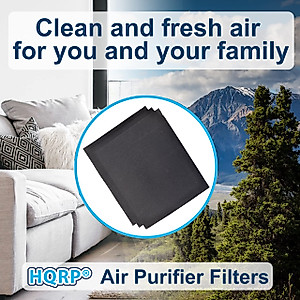 HQRP 6-Pack Carbon Filters Compatible with Hamilton Beach 04922 Replacement fits TrueAir 04160, 04161 models, fits 04912 HEPA Filter