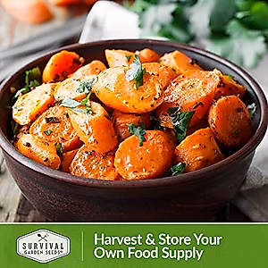 Survival Garden Seeds - Tendersweet Carrot Seed for Planting - Packet with Instructions to Plant and Grow Long Crunchy Orange Carrots in Your Home Vegetable Garden - Non-GMO Heirloom Variety