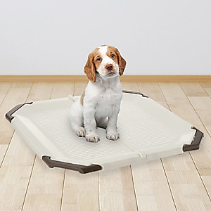 Richell USA PAW TRAX Potty Pad Holder, Puppy Training Pad Tray, for a pad 21 x 21 inches, Anti-Tearing/Anti-Ripping - Durable Plastic for Potty Training Puppies and Senior Dogs