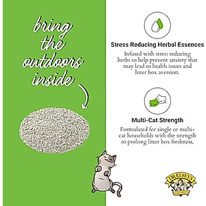 Dr. Elsey's Precious Cat Touch of Outdoors Litter Bag, 20 lb