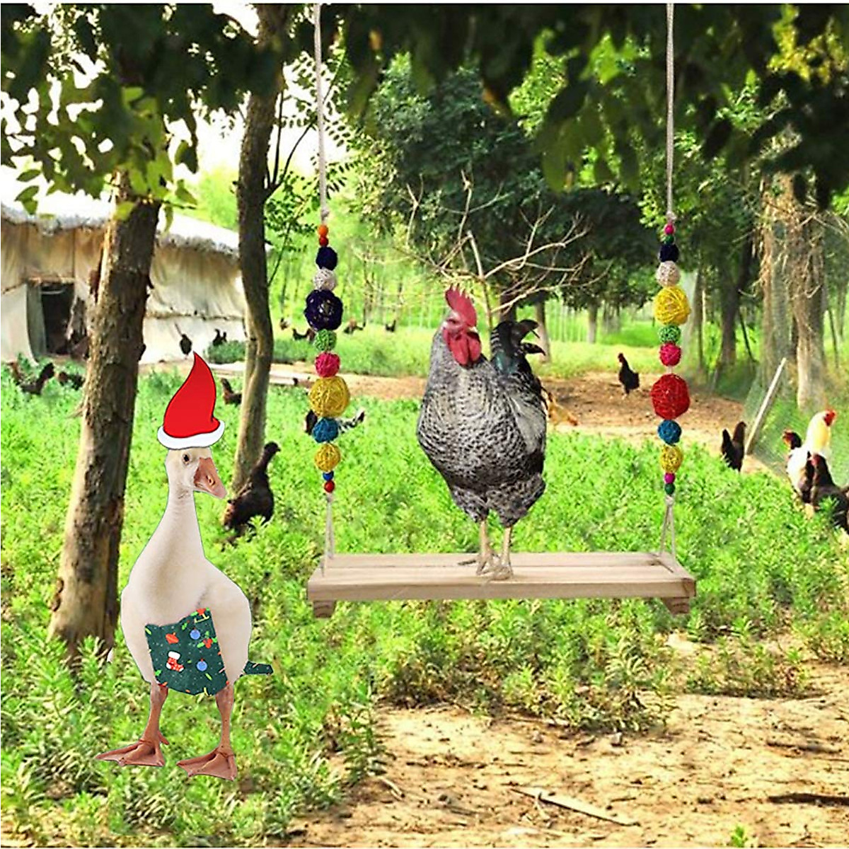 ZJW Chicken Diapers, Duck Diapers, Adjustable Poultry Cloth, Washable and Reusable, Suitable for Holidays, Birthdays, Celebration Party Gifts(S), Green