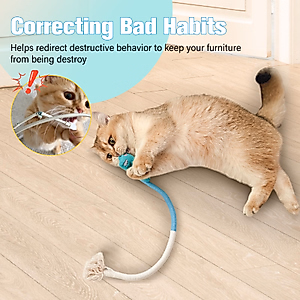 Gochanmon Cat Toys, Rechargeable Flapping Bat Catnip Toy,Touch Activated Kitten Toys, Lifelike Bat Chirping Interactive Cat Toys for Indoor Cats,Kitty Toys Cat Kicker Toys for All Breeds…