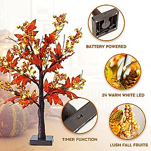 Ethlomoer 2 Pack 24 Inch Artificial Fall Maple Tree, Prelit 48 LEDs for Thanksgiving Decorations Fall Decor, Battery Operated with Timer, Lighted Autumn Tabletop Tree for Harvest Home Indoor Decor