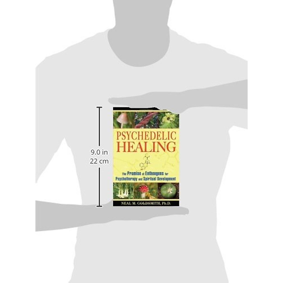 Psychedelic Healing: The Promise of Entheogens for Psychotherapy and Spiritual Development