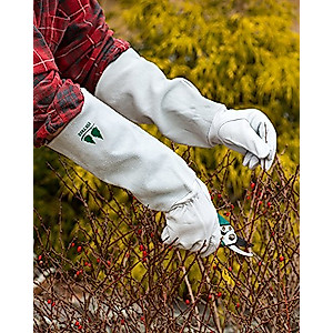 Leather Gardening Gloves by Fir Tree. Premium Goatskin Gloves With Cowhide Suede Gauntlet Sleeves. Perfect Rose Garden Gloves. Men's and Women's Sizes. M-8 (See Size Chart Photo)