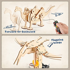 Dinosaur STEM Kits for Kids Ages 6-8-10-12, 4 in 1 Wood Building Toys for Boys Age 8-12, Build It Yourself Woodworking Kit, DIY 3D Wooden Puzzles Model Science Crafts for Kids, Stem Projects