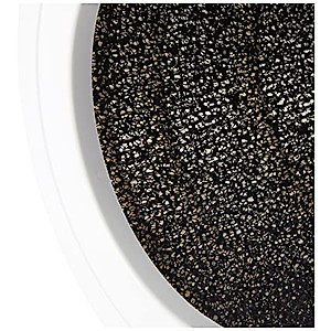 BISSELL air180 and air180 max Replacement filter