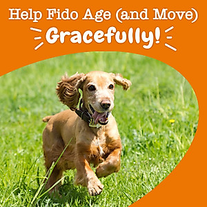 Zesty Paws Mobility Bites Joint Supplement for Dogs - Hip and Joint Chews for Dogs - Glucosamine for Dogs, Chondroitin, & MSM + Vitamins C and E for Dog Joint Relief - Adv Chicken - 90 Count