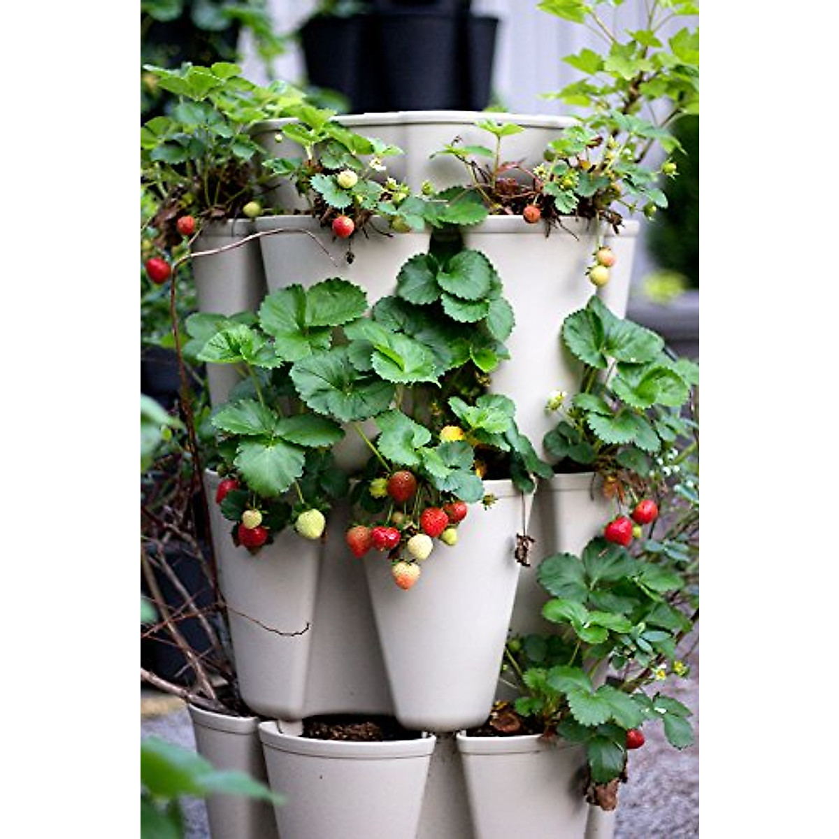 Greenstalk Patented Large 5 Tier Vertical Garden Planter with Patented Internal Watering System Great for Growing a Variety of Strawberries, Vegetables, Herbs, & Flowers (Stunning Stone)