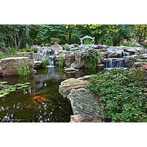 Aquascape 96024 Algaecide Treatment for Koi Fish Ponds and Water Gardens, 32 Ounces, Clear